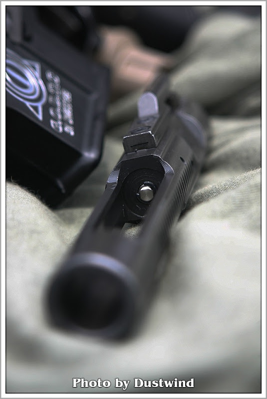 百萬年的孤寂: [開箱]VIPER TECH CUSTOM RIFLE